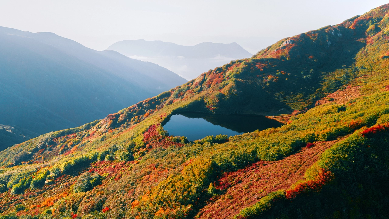 autumn | Visit Batumi